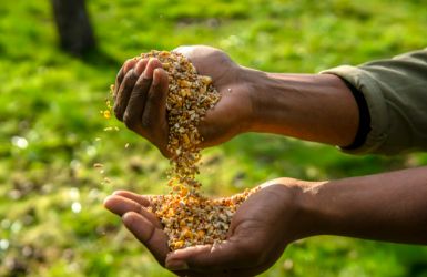 Welcome to Henry Bell